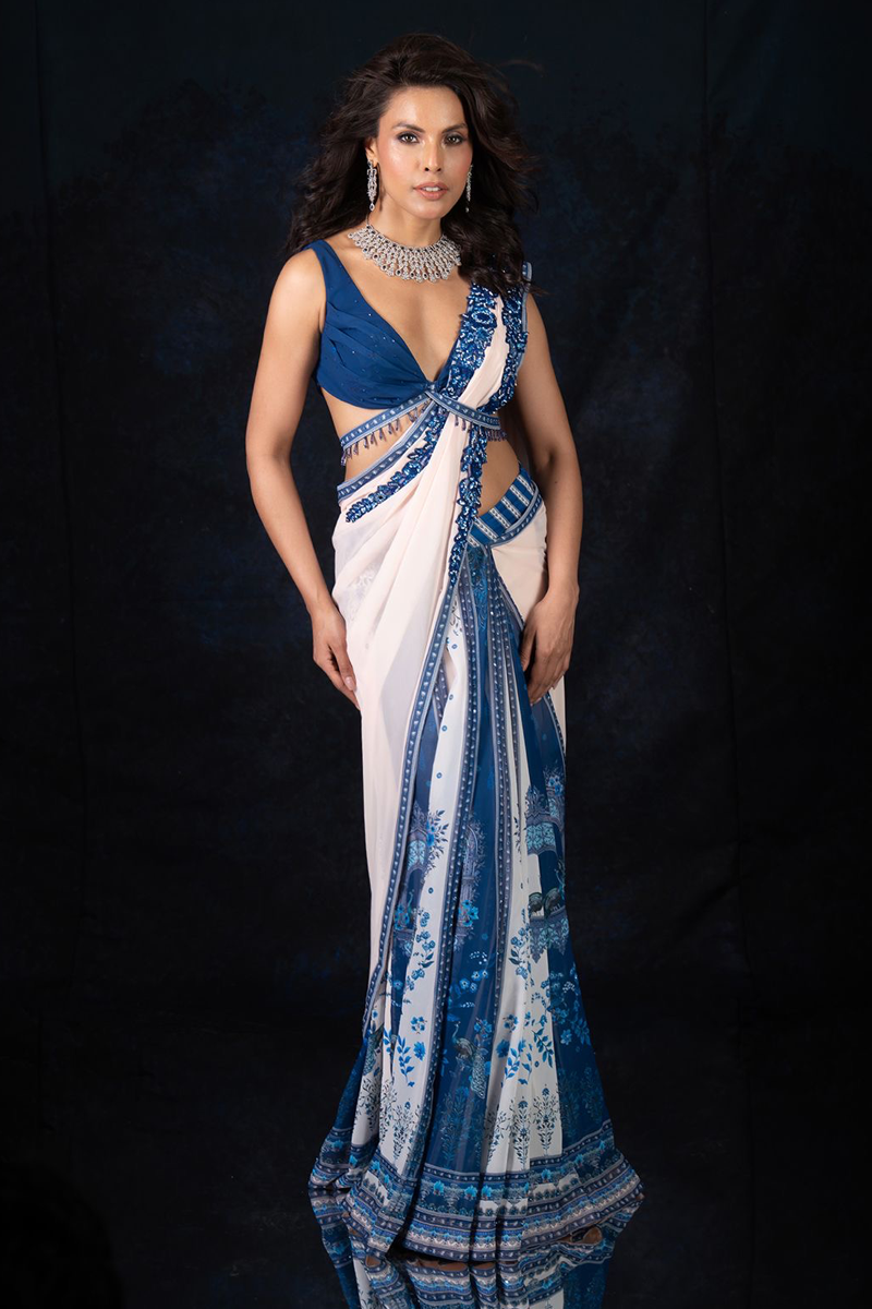 Neel Mahal Sari - Indian Clothes in Dallas - Custom Designed Dresses ...